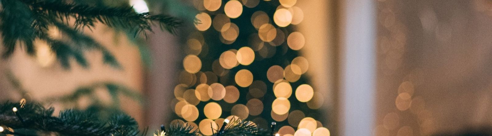 Christmas Giving Tree